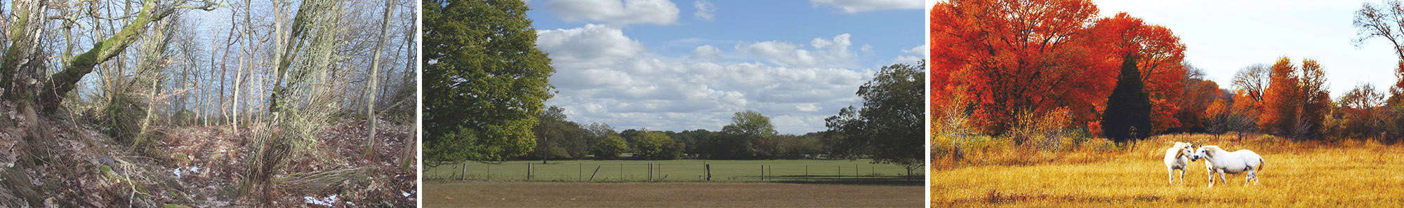 Best Time to Buy a Tractor- Advice From Tractor Mike- Ask Tractor Mike